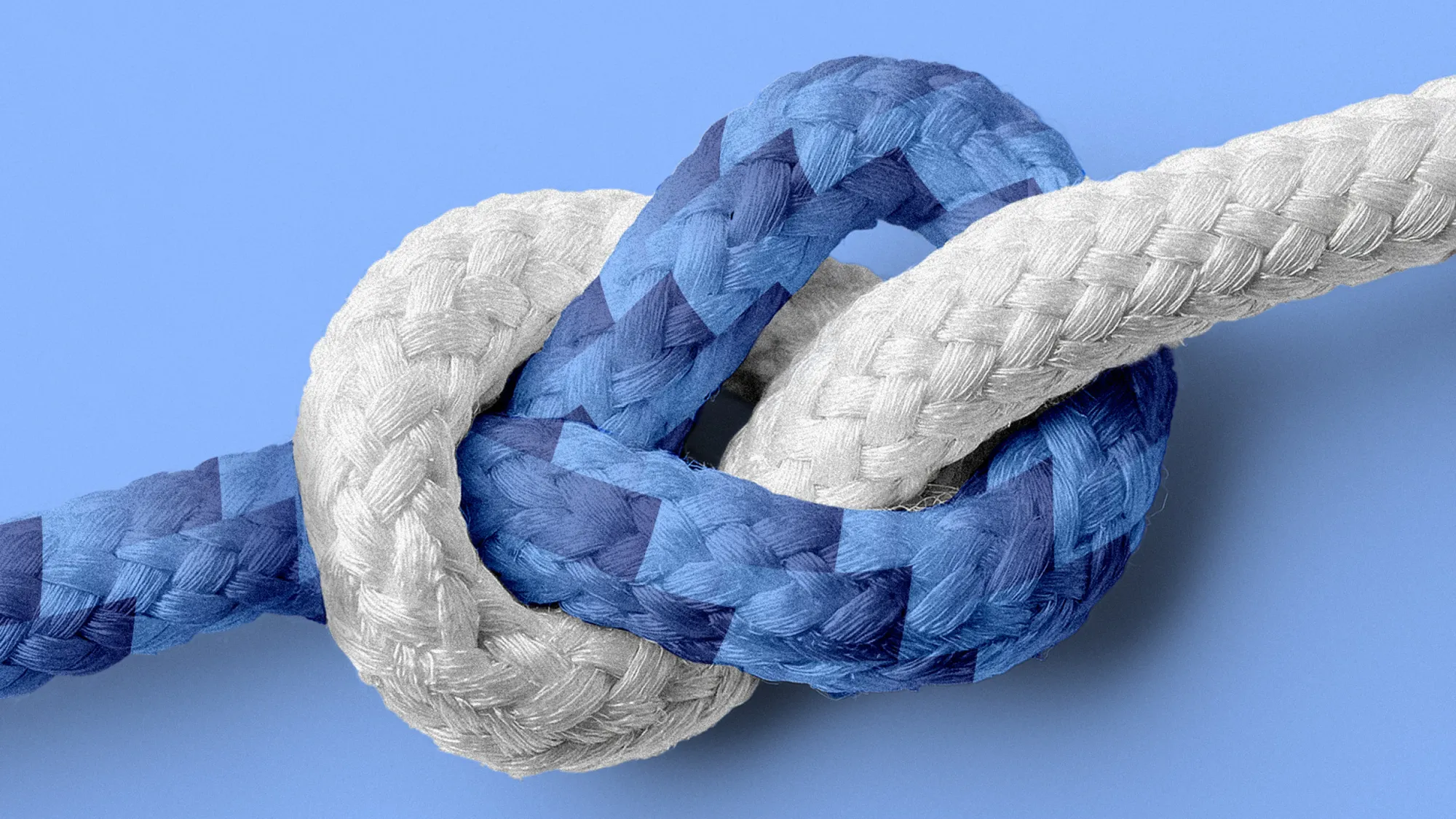 Renew Your Co-Founder Vows — and Other Tactics for Strengthening the ...